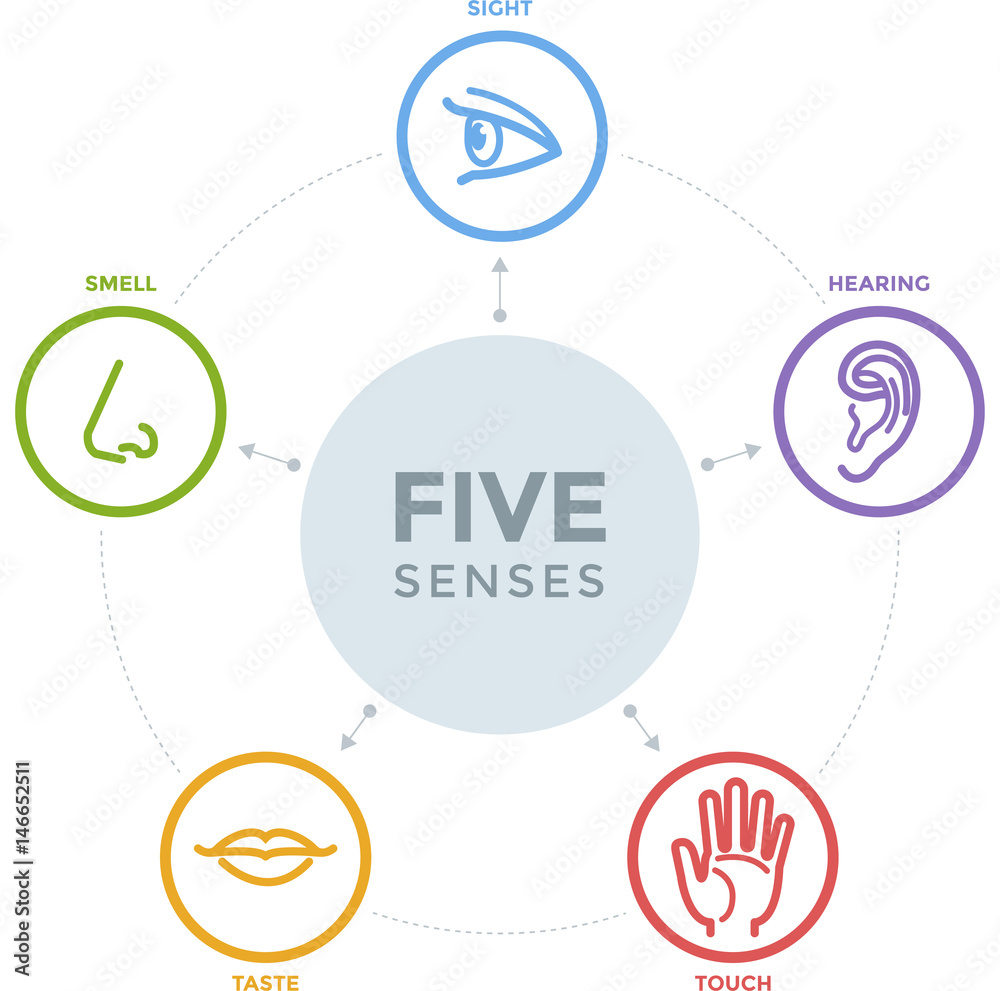 Senses Thinking Maps