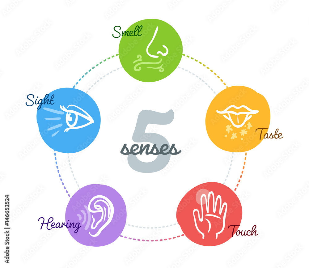 Senses Thinking Maps