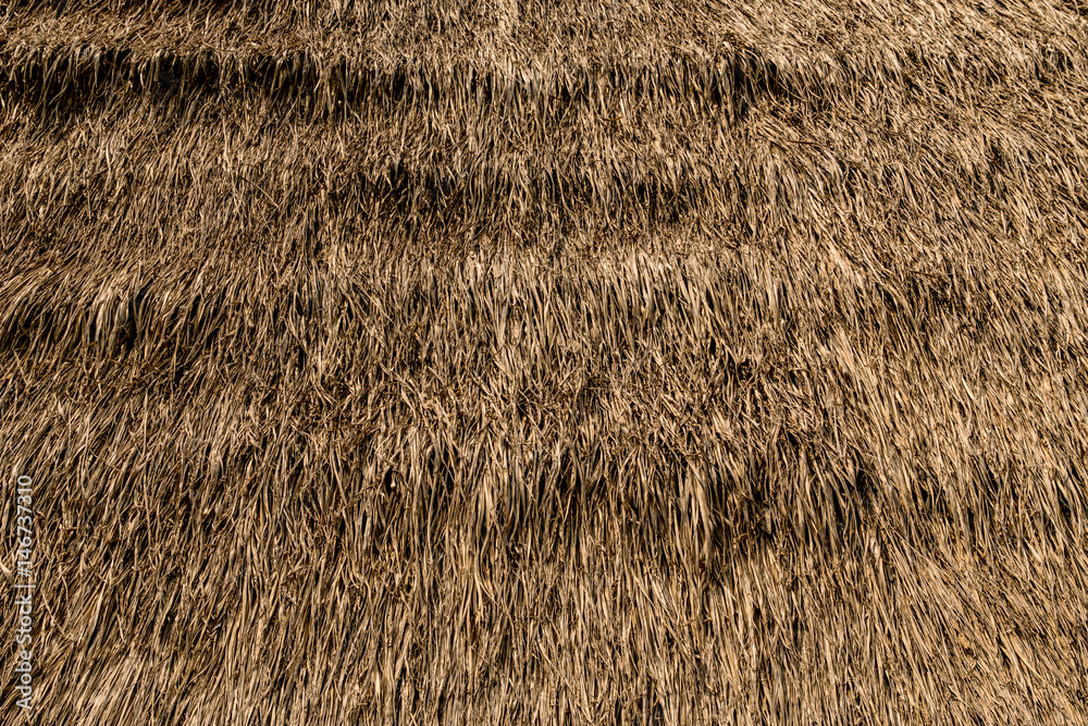 Thatched roof texture Stock Photo | Adobe Stock
