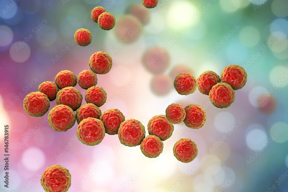 Bacteria Enterococcus, 3D illustration. Gram-positive cocci which cause ...