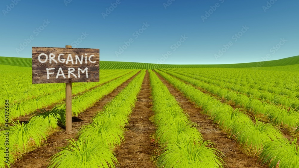 Rural landscape with wooden board "Organic Farm" among rows of natural ...
