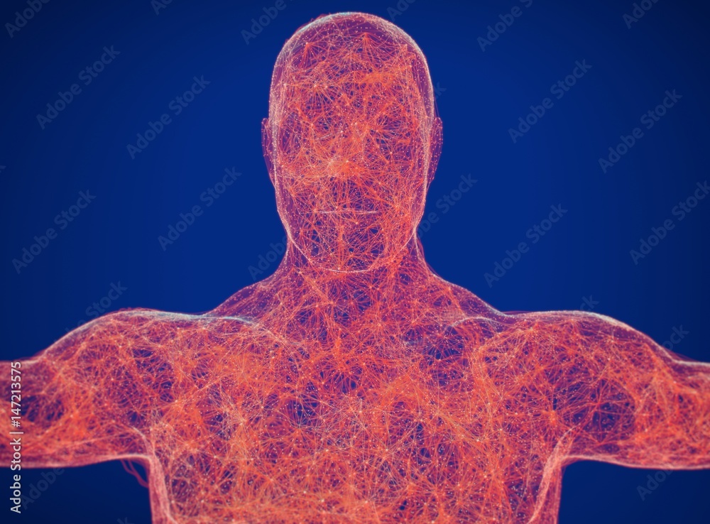 Neural connections concept. Human body neurology, nervous system. 3D ...