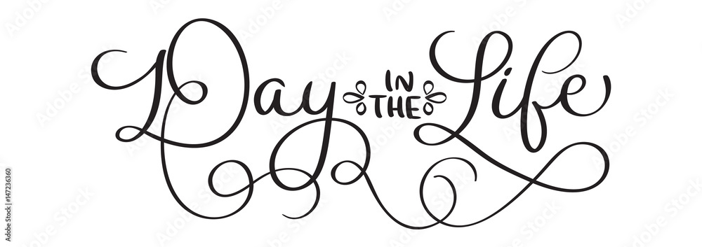 Day in the life vector vintage text on white background. Calligraphy ...