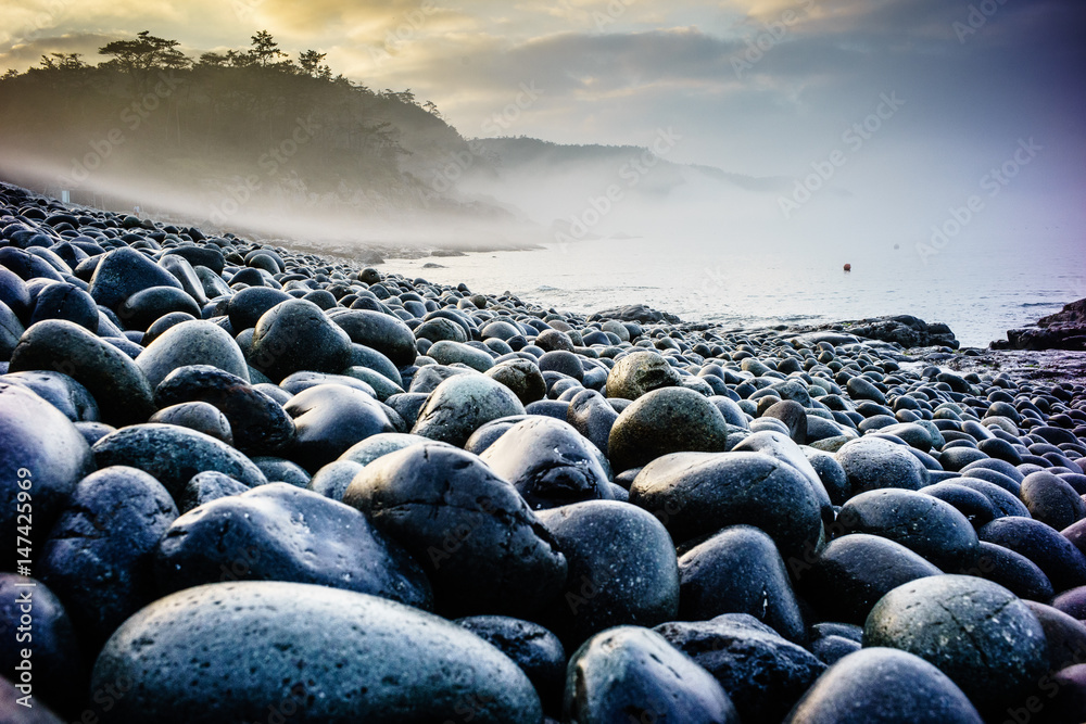 2016 Wando, Korea Stock Photo | Adobe Stock