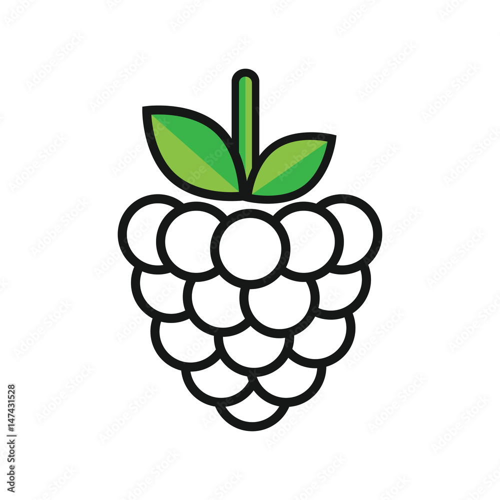 Raspberry Outline