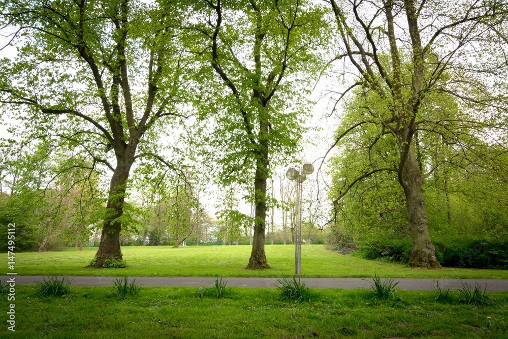 Bäume im Park Schieder Stock-Foto | Adobe Stock
