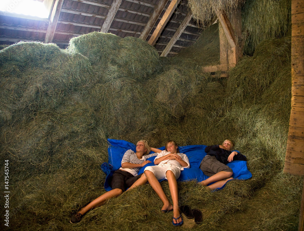girls and boy sleeping in hay barn Stock Photo | Adobe Stock