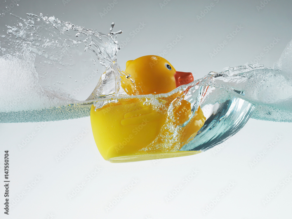 Rubber duck floating in soapy water Stock Photo | Adobe Stock