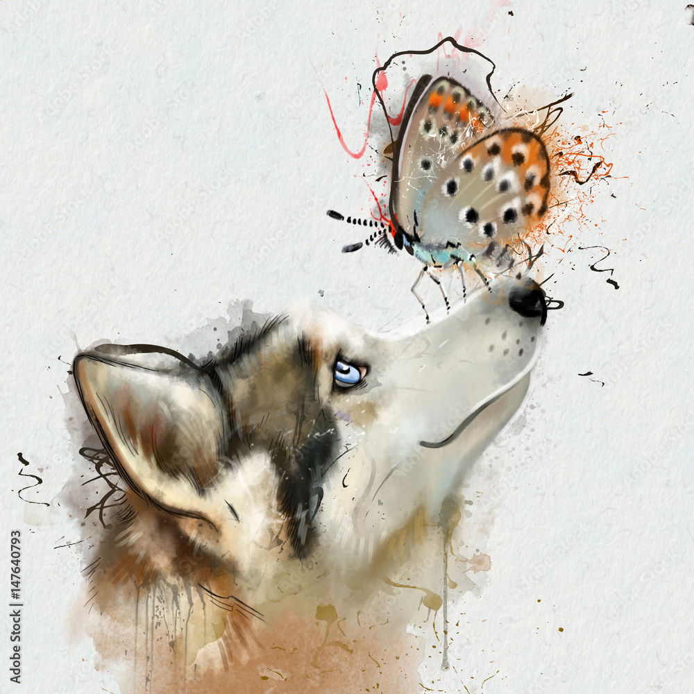 What Is A Butterfly Nose On A Dog