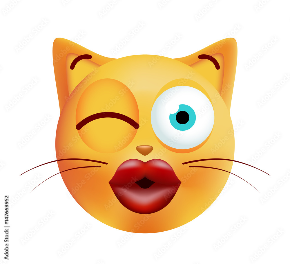 Winky Emoticon Cat