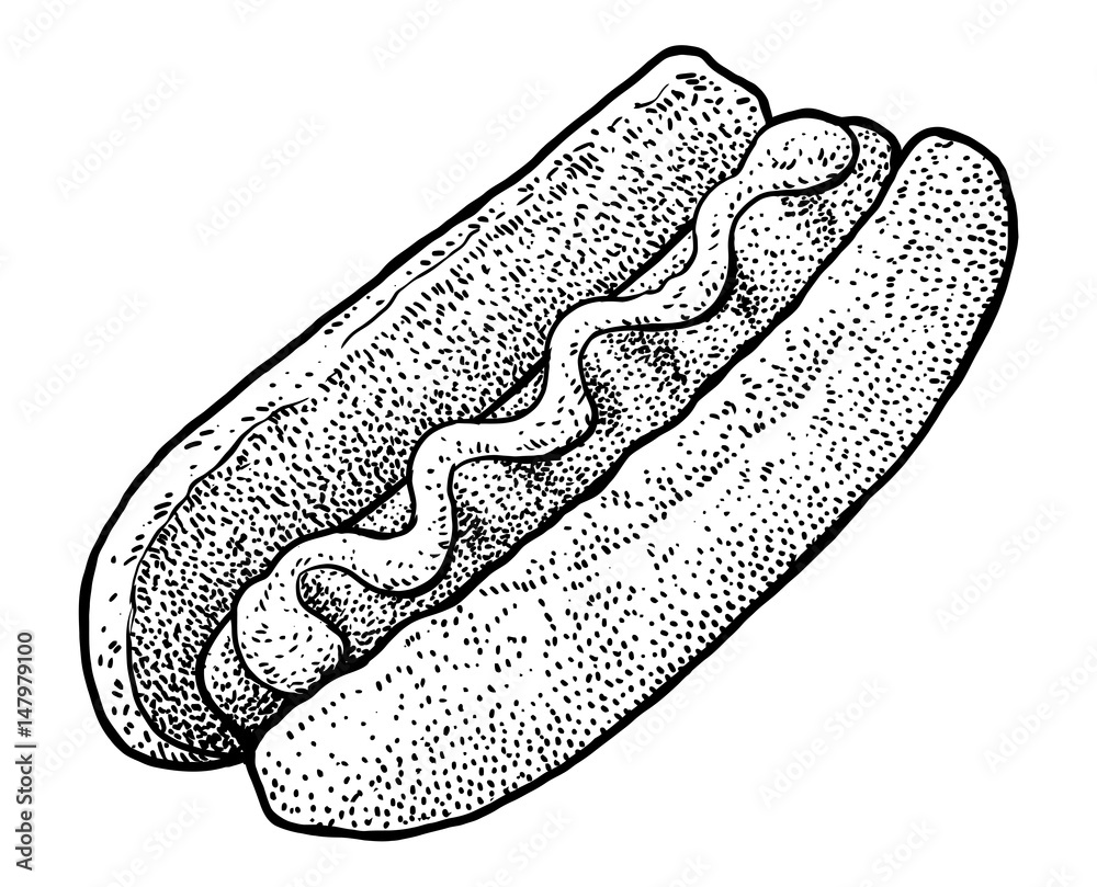 Hot dog illustration, drawing, engraving, ink, line art, vector Stock ...