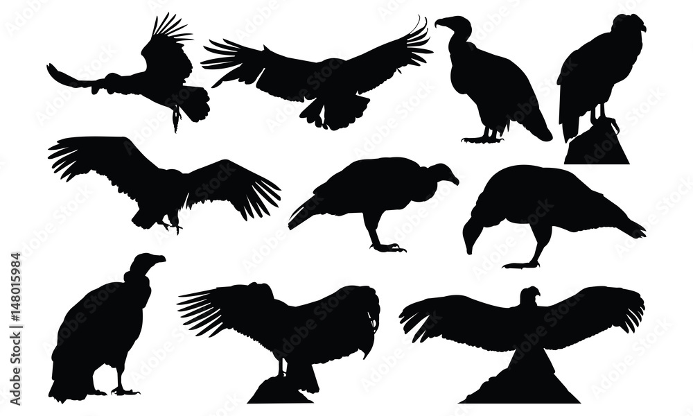 Condor Silhouette vector illustration Stock Vector | Adobe Stock