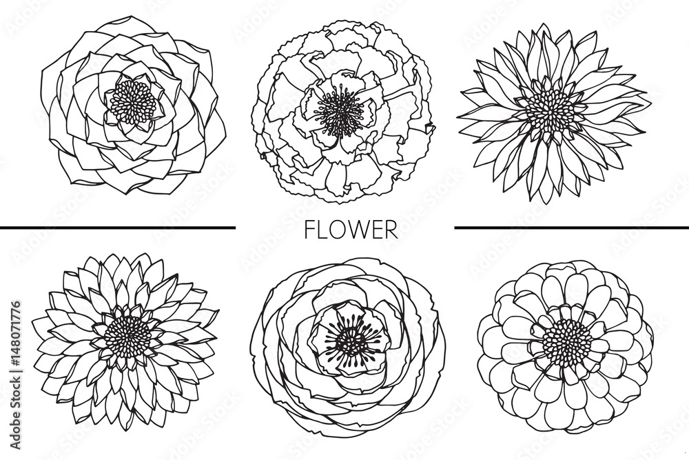 Collection of flowers drawing and sketch with line-art on white ...