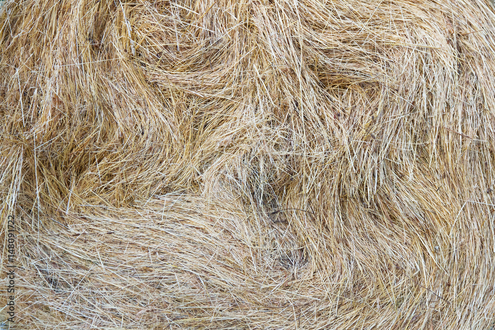 Fondo o textura de hierba seca apilada en paca Stock Photo | Adobe Stock