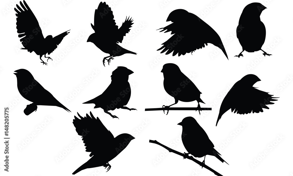Finch Silhouette vector illustration Stock Vector | Adobe Stock