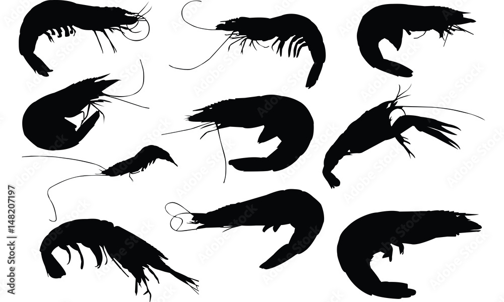 Krill Silhouette vector illustration Stock Vector | Adobe Stock