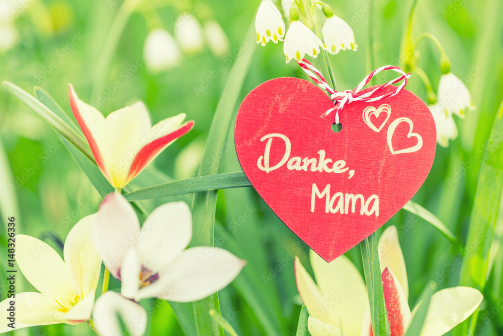 Danke Mama Postkarte Stock Photo | Adobe Stock