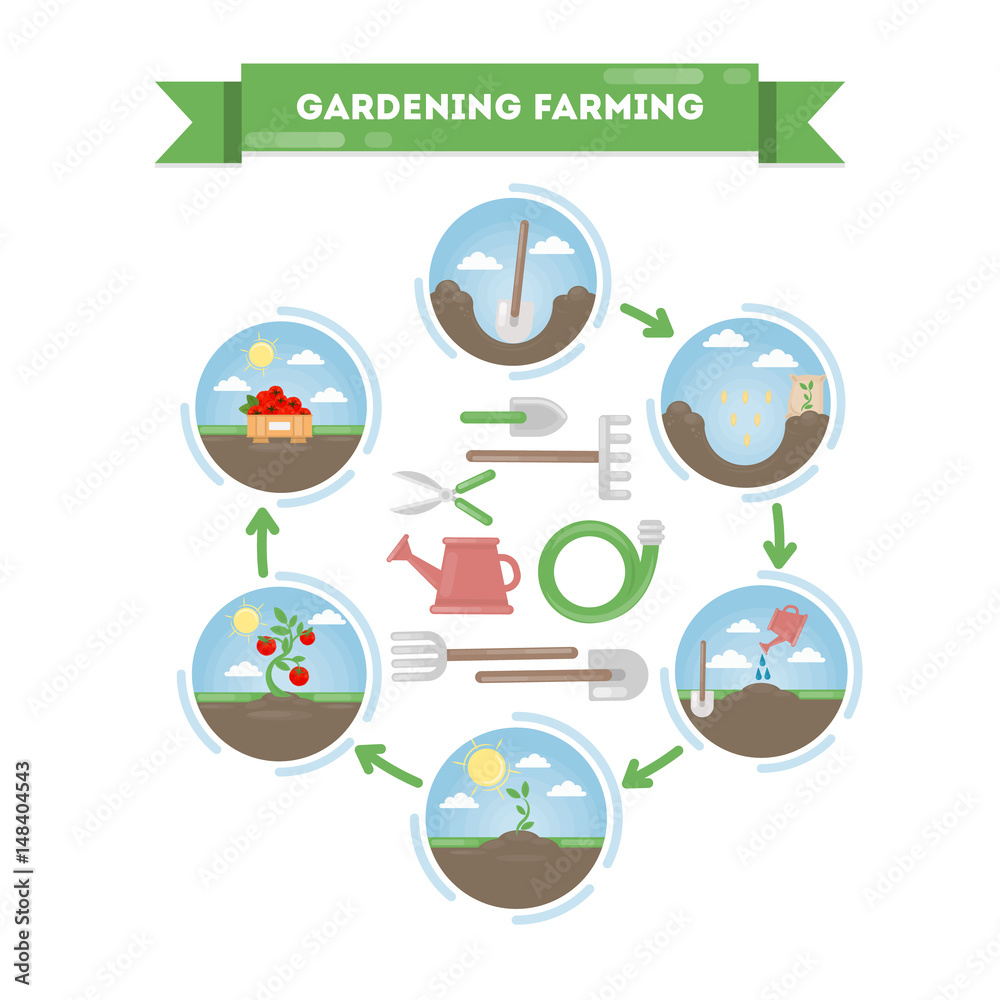Stages of planting food. Plant, cultivate, grow and pick up Stock ...