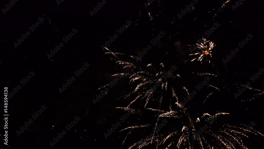 Fireworks exploding in the dark night sky Stock Video | Adobe Stock