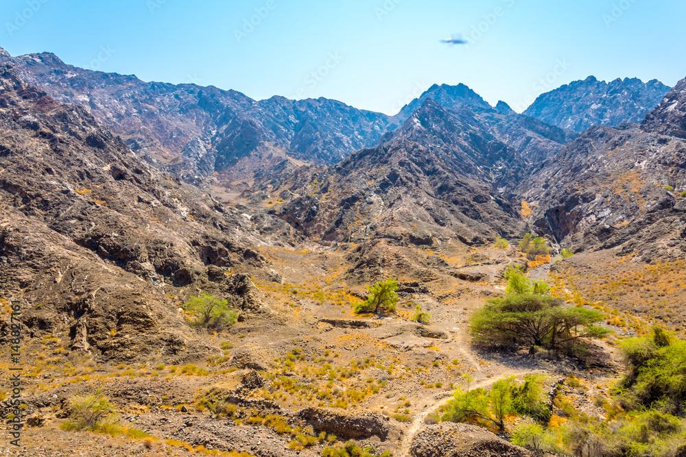 Nature in Oman surrounding the famous c38 hiking trail in Muttrah ...