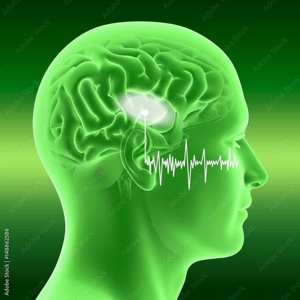 Human ear with sound waves and marked auditory cortex Stock ...