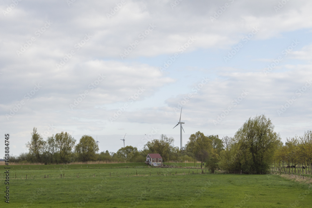 Im Umkreis der Lesum in Bremen-Marssel im Frühling Stock-Foto | Adobe Stock