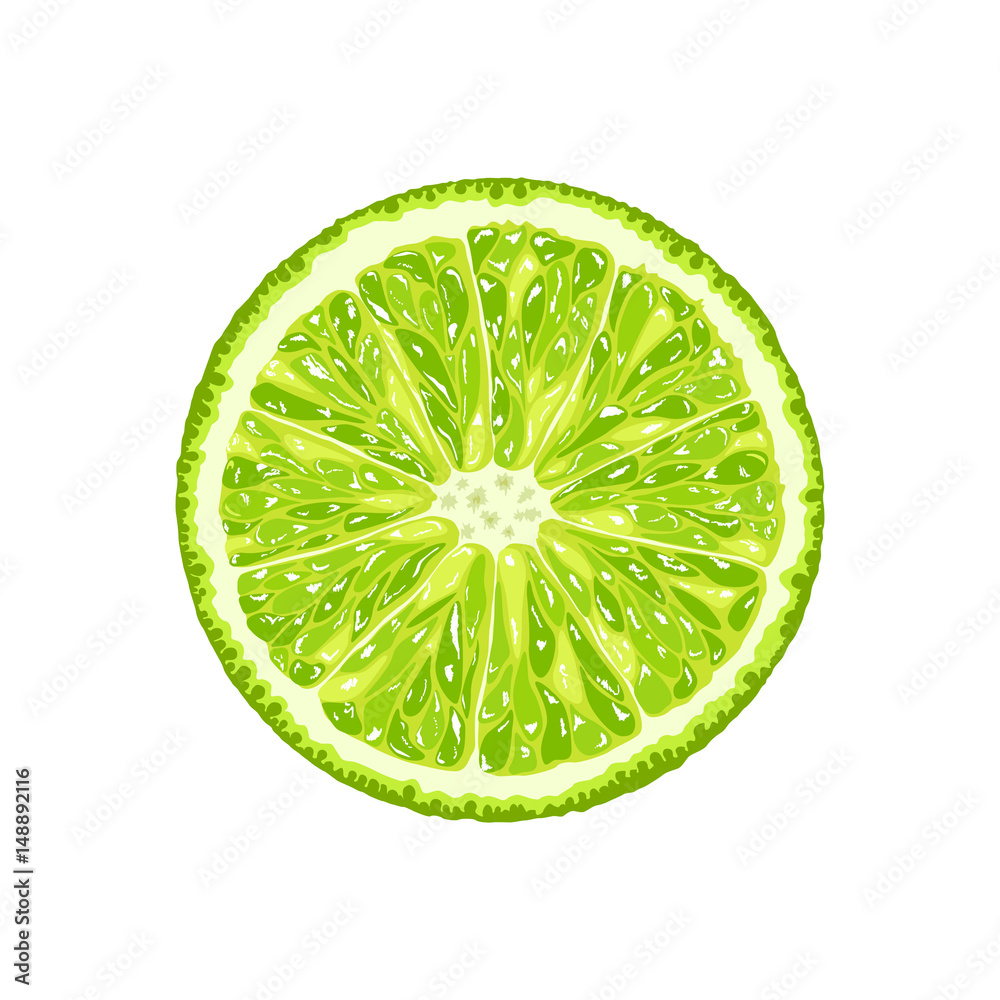 Lime Illustration