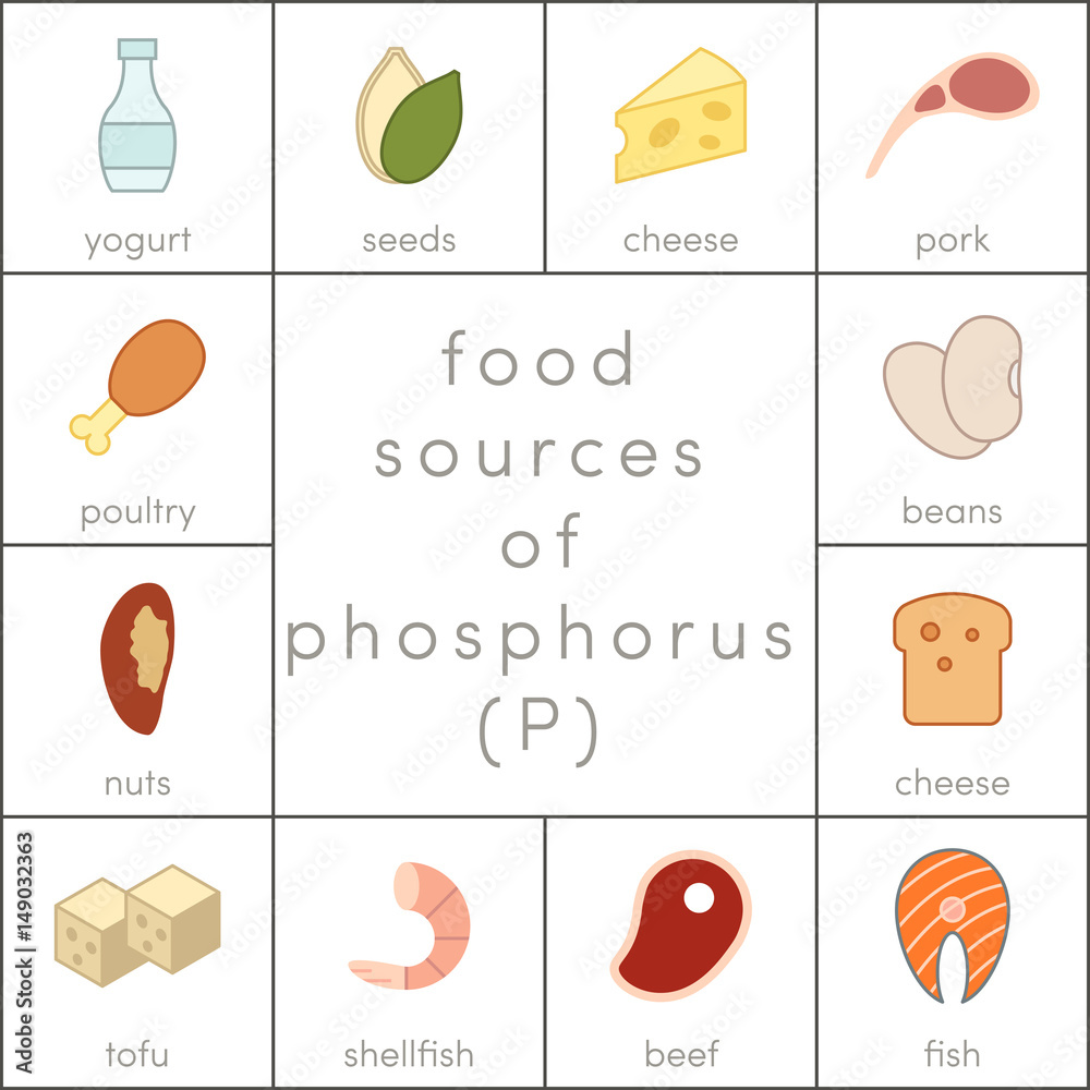 Phosphorus Food Sources List at Adriana Fishburn blog