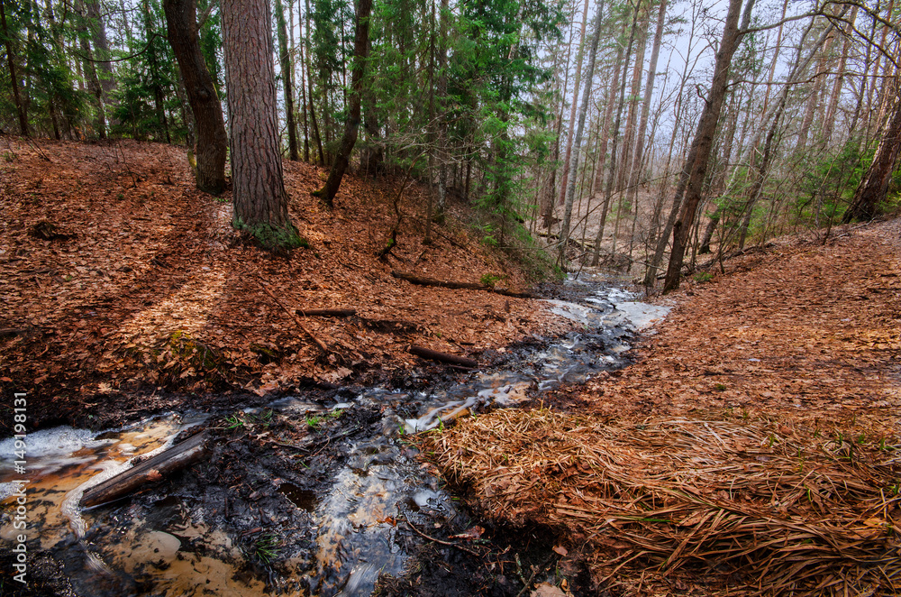 forest landscape with river Photos | Adobe Stock