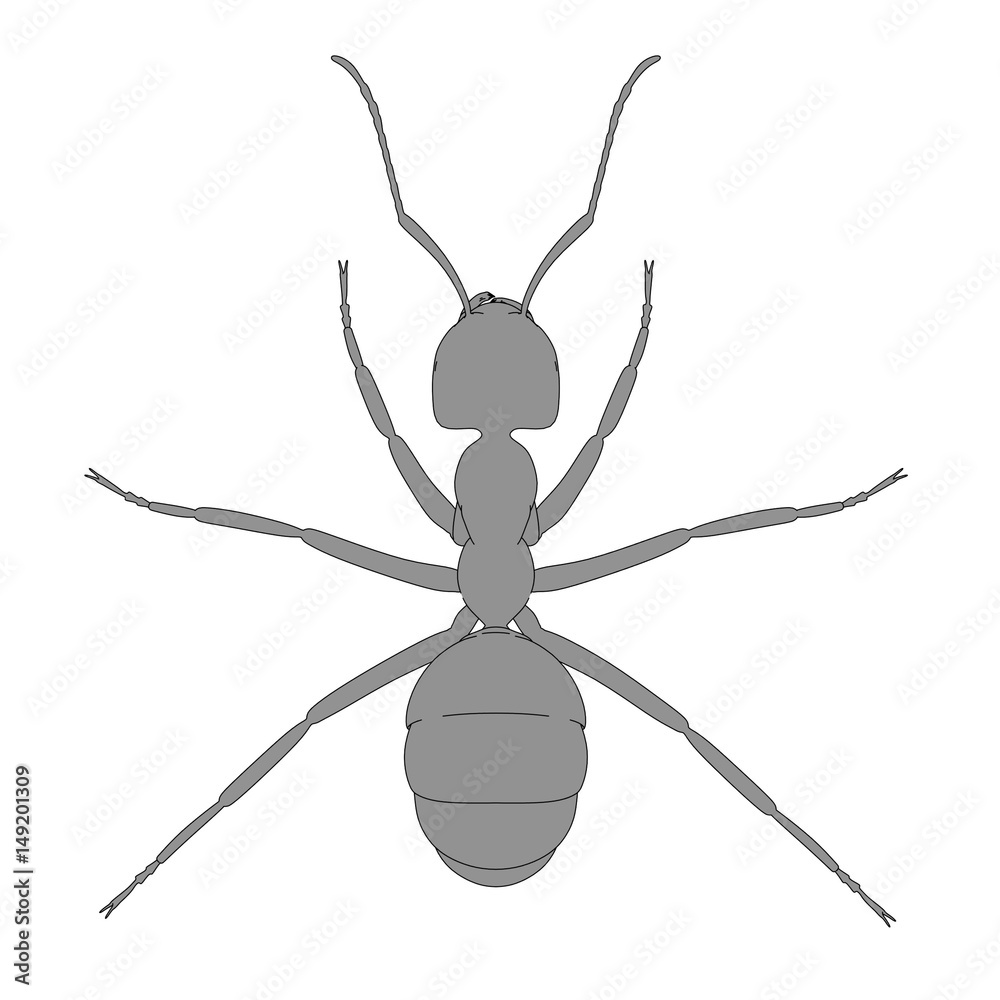 2d cartoon illustration of ant Stock Illustration | Adobe Stock