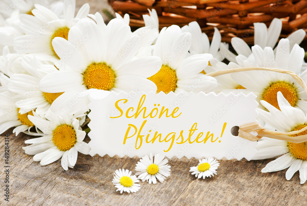 Pfingsten, Schöne Pfingsten!, Karte mit Schrift und Margariten ...