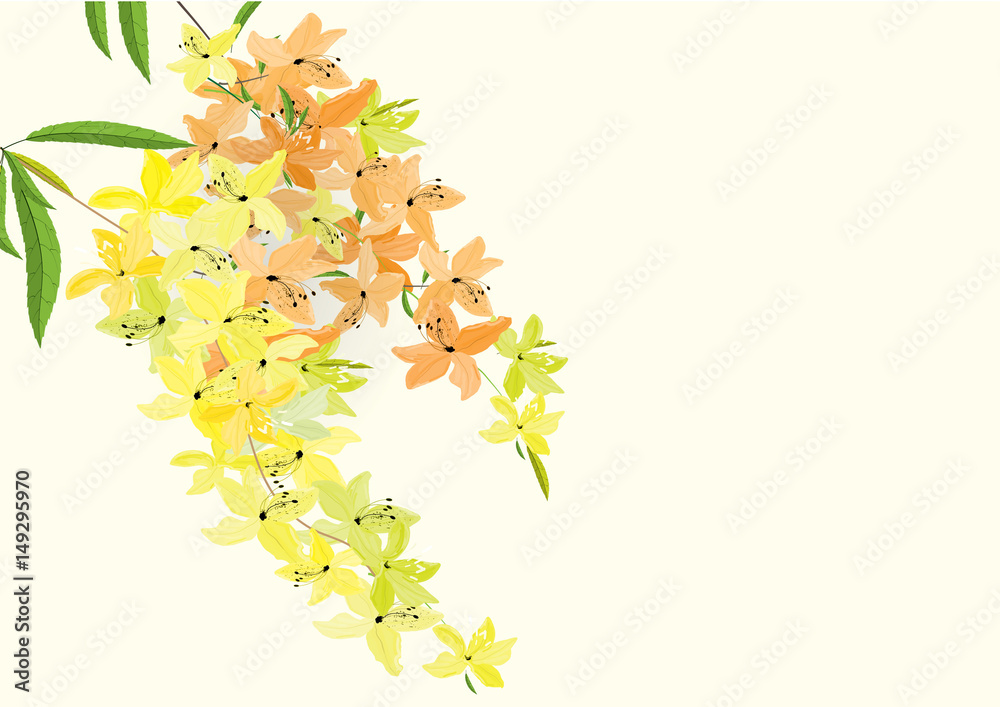 National Flower Of Asean | Best Flower Site