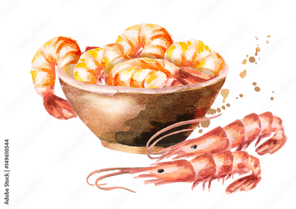 Shrimp Watercolor