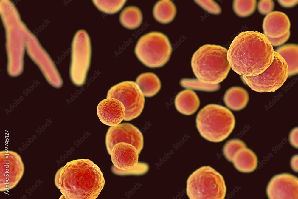 Stockillustratie Mycoplasma bacteria, 3D illustration showing small ...