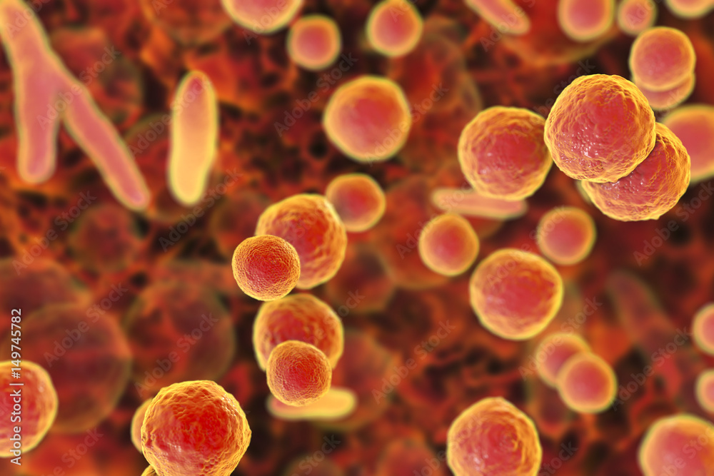 Mycoplasma bacteria, 3D illustration showing small polymorphic bacteria ...