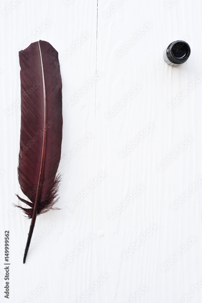 brown feather and ink isolated on white background Stock Photo | Adobe ...