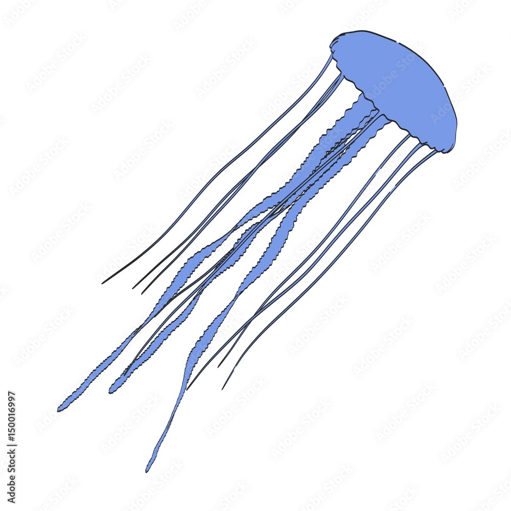 2d cartoon illustration of jellyfish Stock Illustration | Adobe Stock