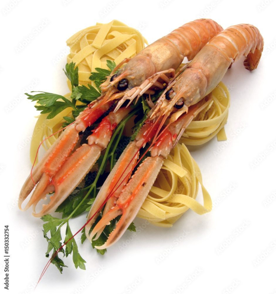 Nephrops norvegicus Norway Cigala lobster Норвежский омар Scampi ...