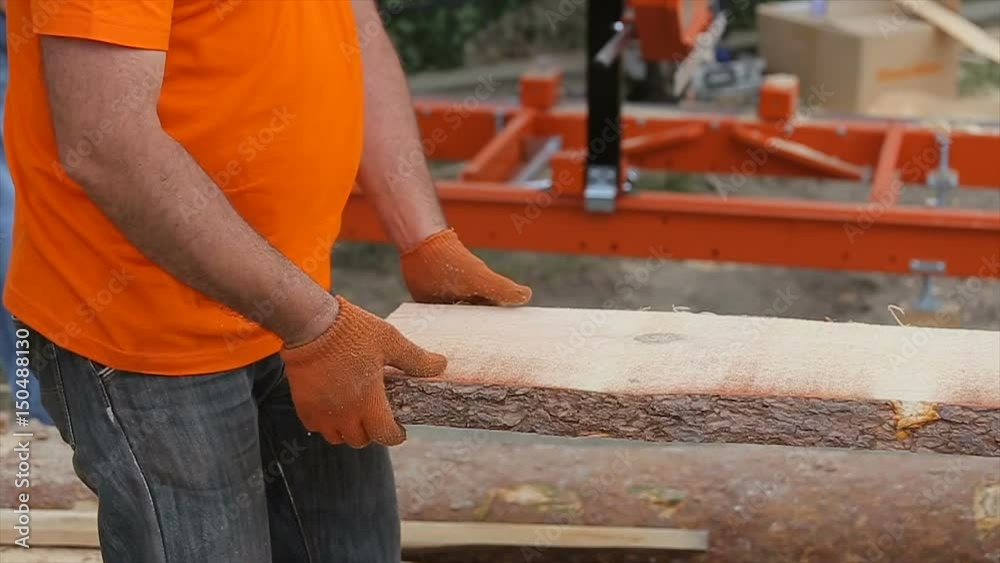 Timber mill. View of sawing wood with sawmill machine. Carpenter loads ...