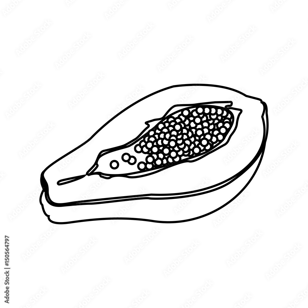 half papaya sweet tropical fruit outline vector illustration Stock ...