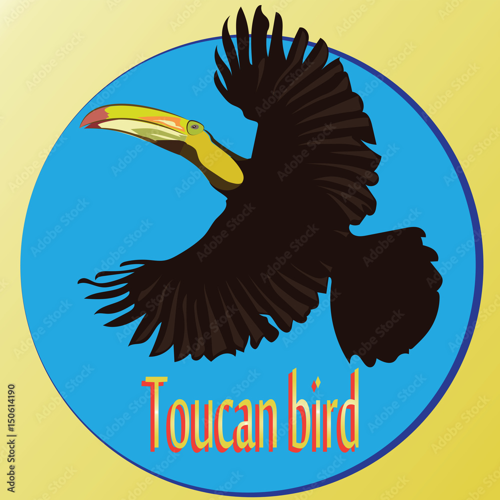 Flying Toucan. Blue circle.The nature of the tropics. An exotic bird ...