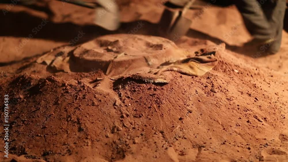 Jordanian cuisine. Zarb is a traditional bedouin meal, famous meat dish ...