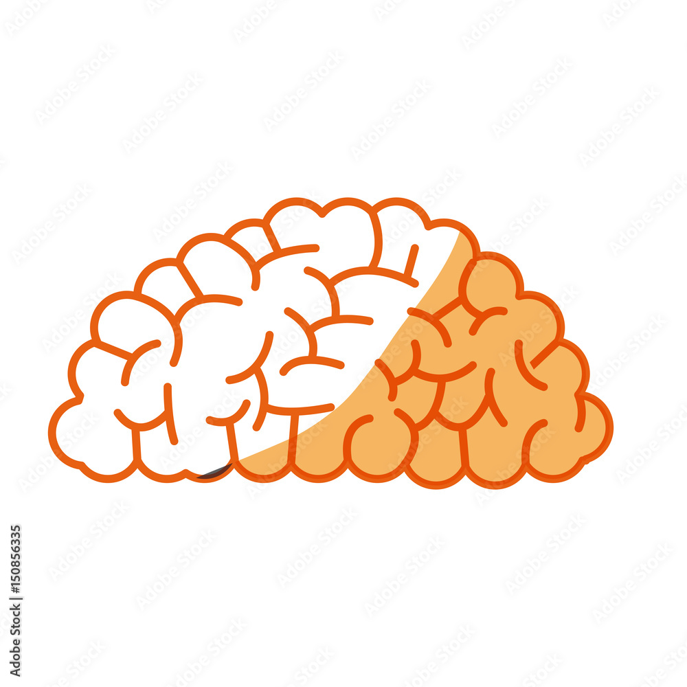 brain human organ memory mind vector illustration Stock Vector | Adobe ...