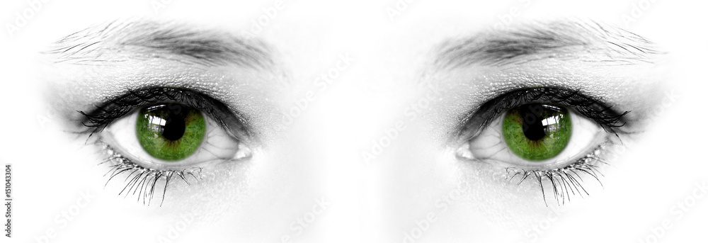grüne augen Stock Photo | Adobe Stock
