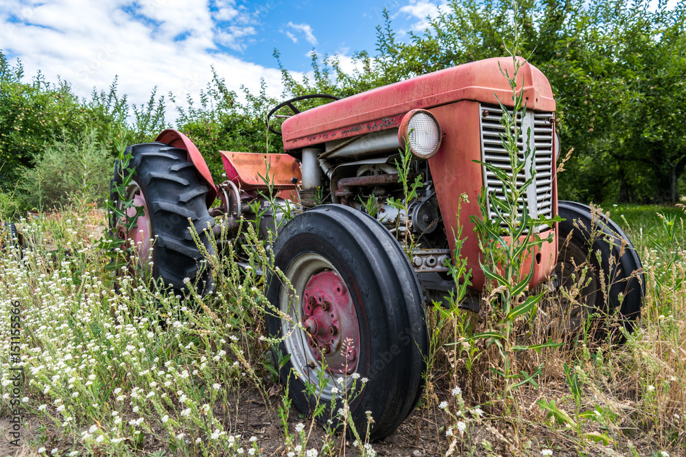 Red old tractor with rust in tall weeds and grass Stock Photo | Adobe Stock