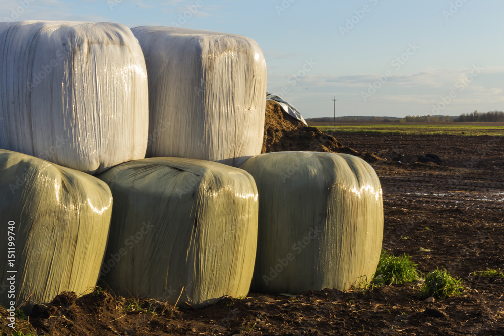Stacked like a pyramid, round bales of hay and silage wrapped in a ...