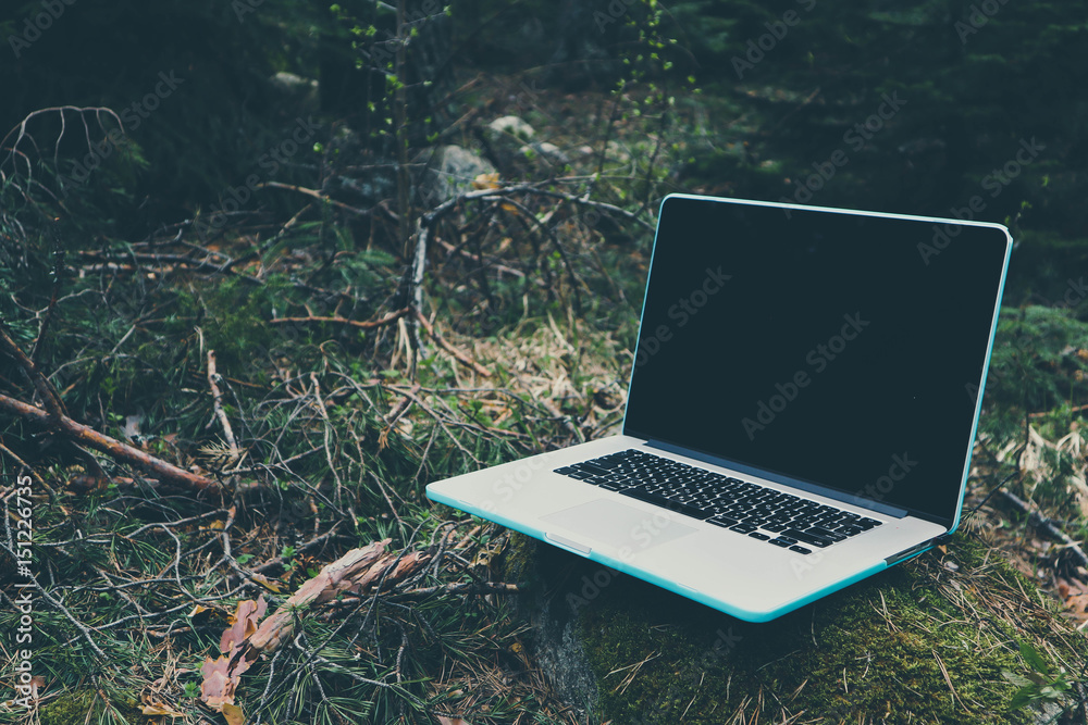 Freelancer laptop computer lost in the forest glade, amid the greenery ...