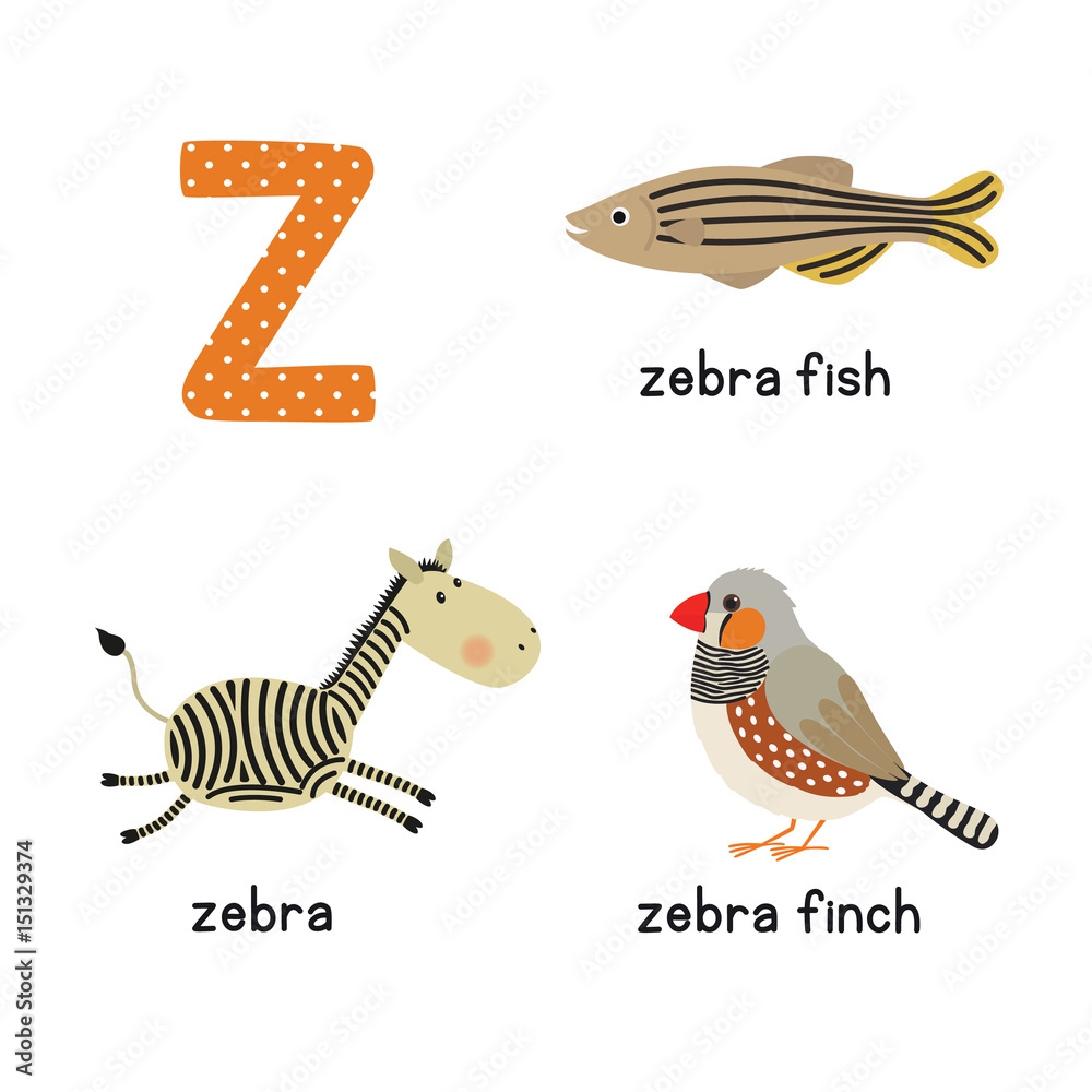 Cute zoo alphabet in vector.Z letter. Funny cartoon animals: zebra ...