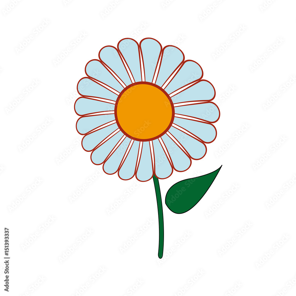 beautiful single daisy flower isolated on white background vector ...