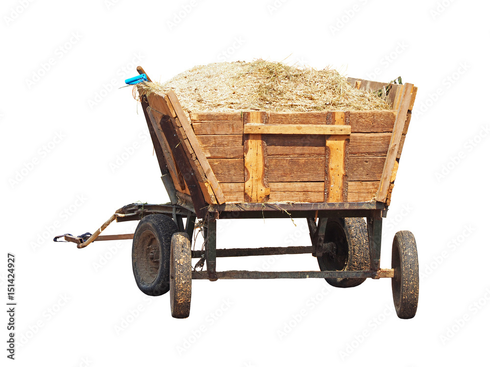 Rustic trolley, one vintage wooden cart with hay and sawdust, isolate ...